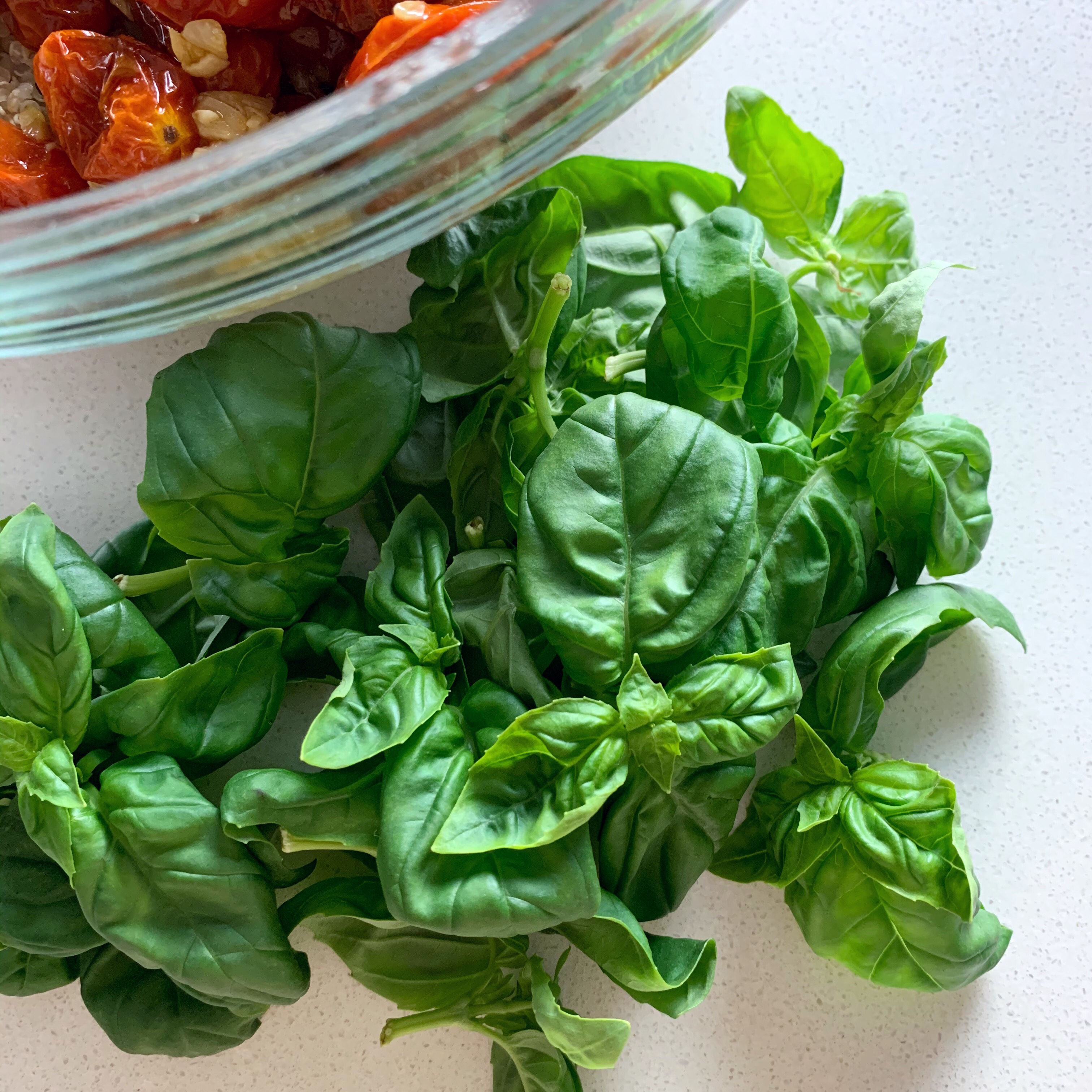 Caprese Quinoa Salad with Roasted Cherry Tomatoes – Radiate Food Vibes